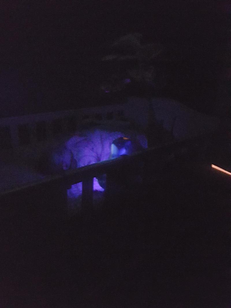 Vtech Sleepy Bear Sweet Dreams - Reviews