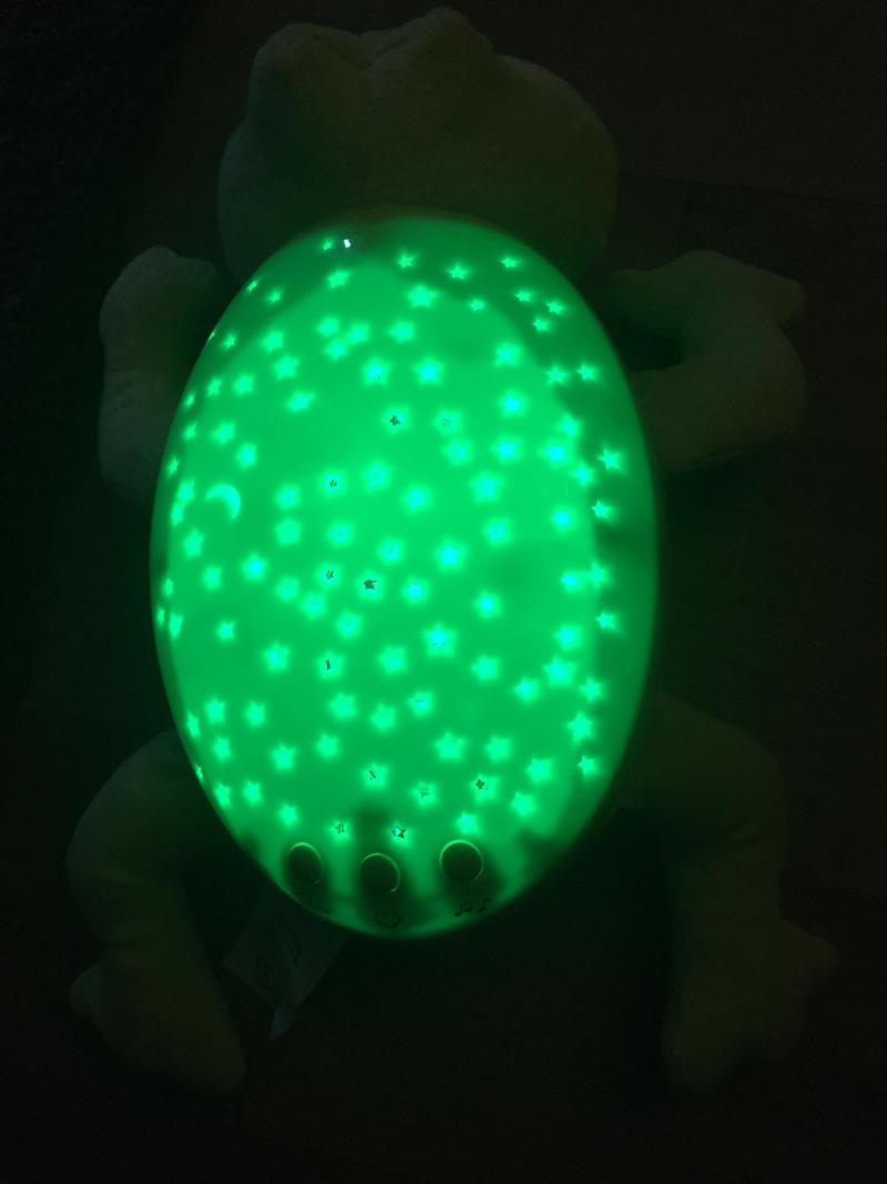 Summer Infant Slumber Buddy Frog - Reviews