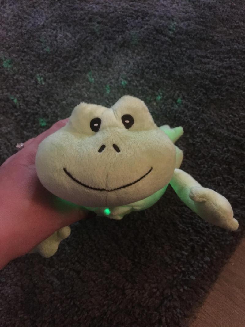 Summer Infant Slumber Buddy Frog - Reviews