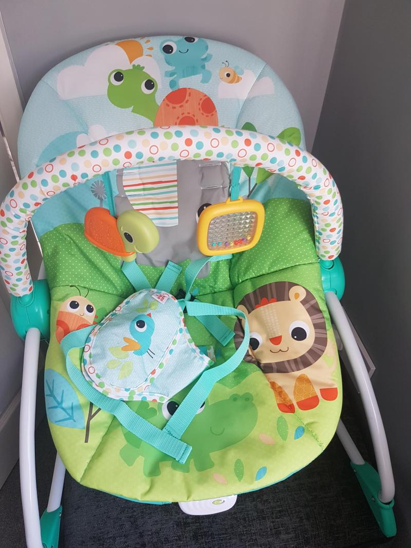 Bright Starts Playful Parade Baby To Big Kid Rocker - Reviews