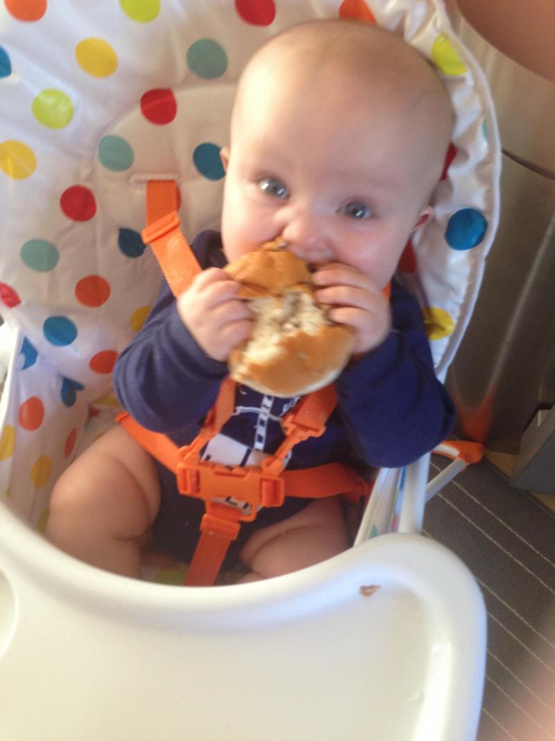 Cuggl Mushroom Folding Highchair - Reviews