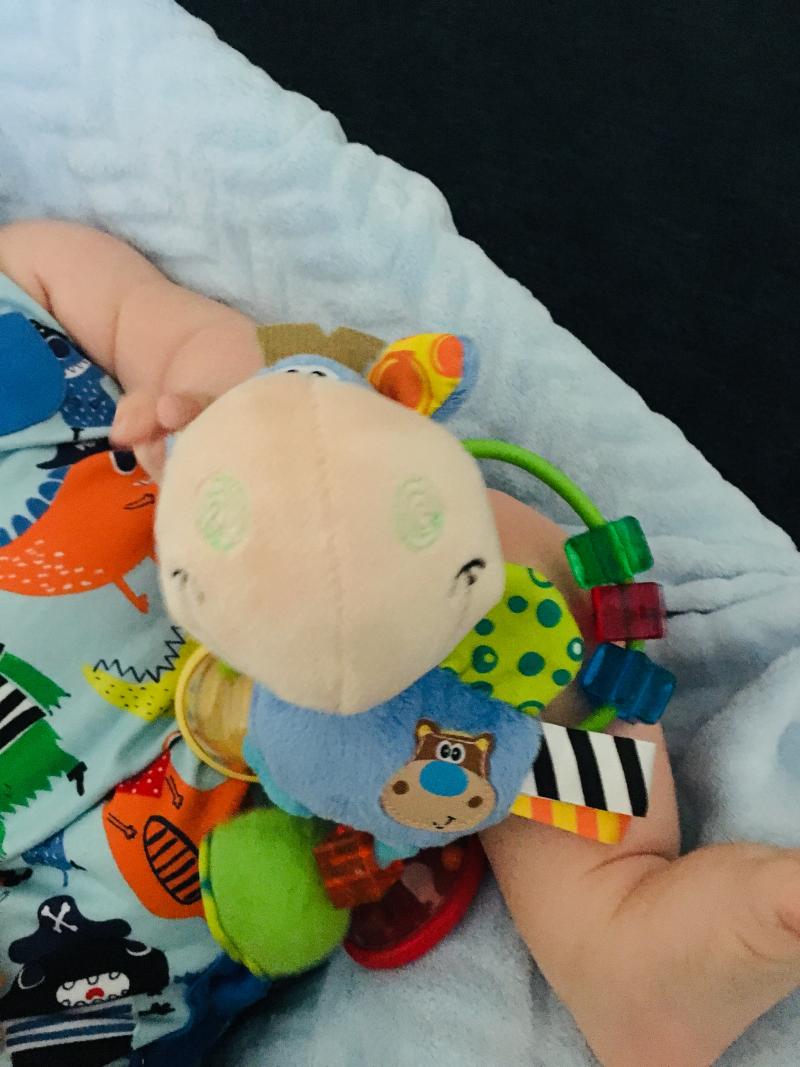 Playgro Activity Rattle Clip Clop - Reviews