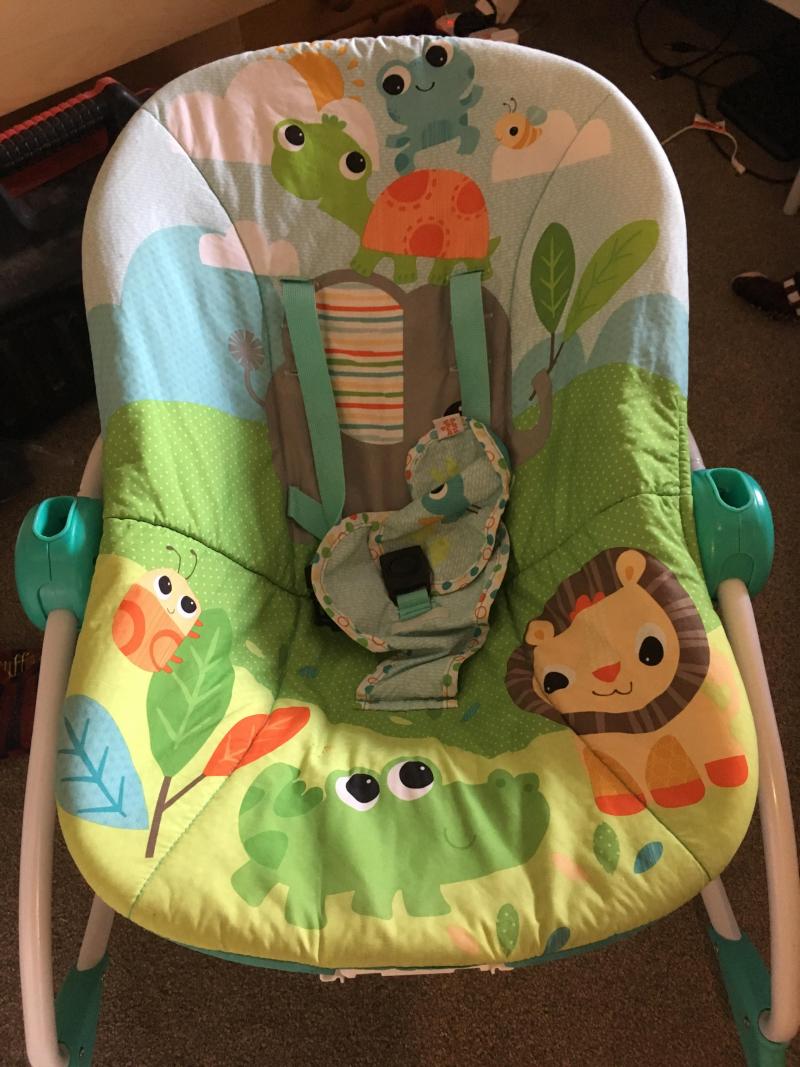 Bright Starts Playful Parade Baby To Big Kid Rocker - Reviews