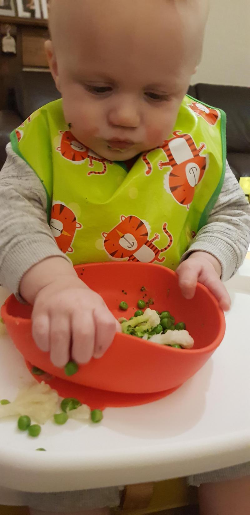 Doidy Bowl - Reviews
