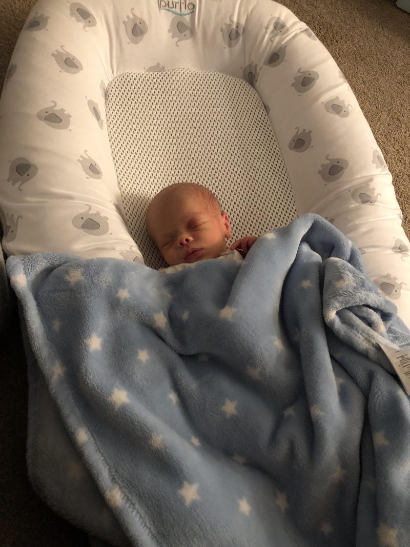 PurFlo Breathable Nest - Reviews