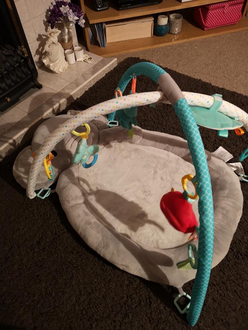 Bright Starts Enchanted Elephants Activity Gym - Reviews