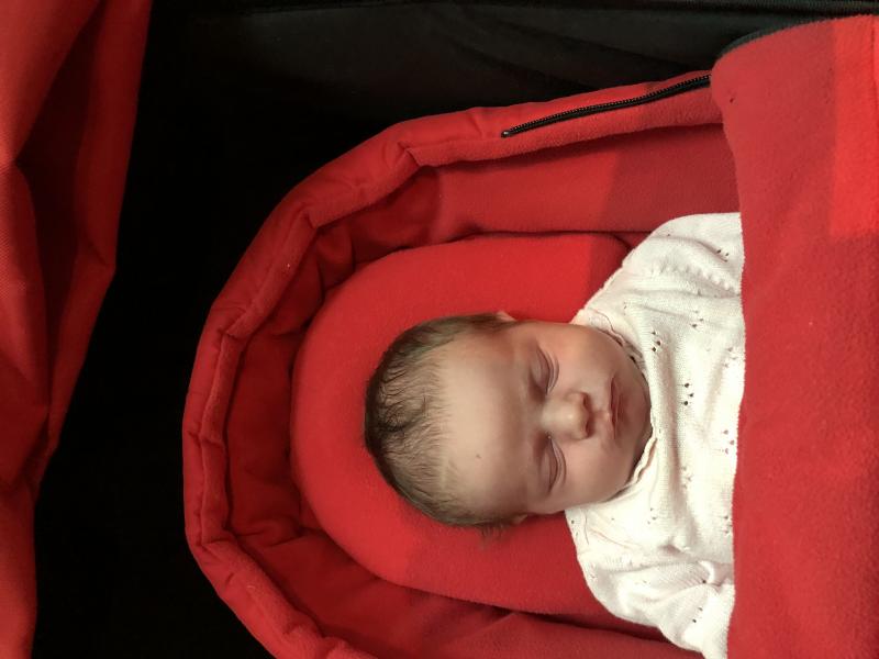 Bugaboo Bee Cocoon - Reviews