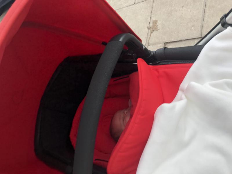 Bugaboo Bee Cocoon - Reviews