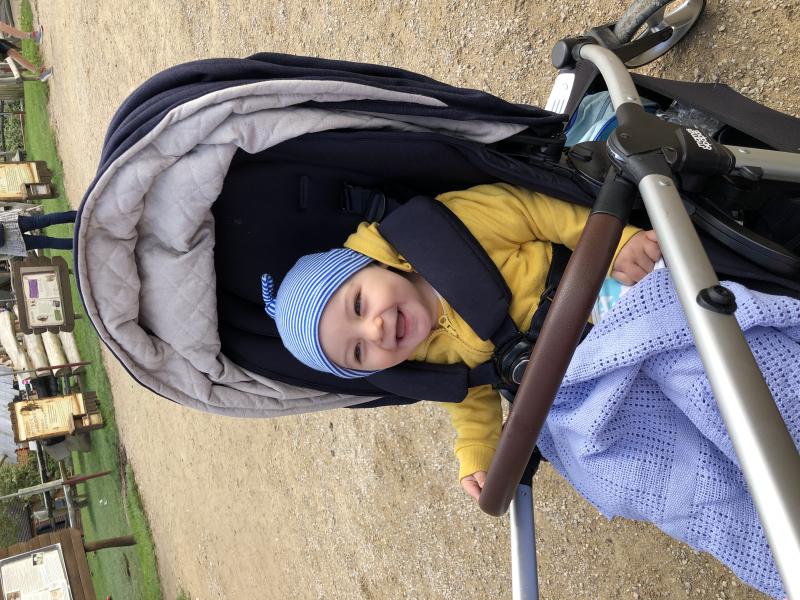 Mamas & Papas Armadillo Flip XT2 Pushchair - Reviews
