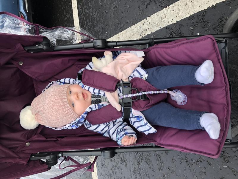Cuggl Maple Pushchair - Reviews