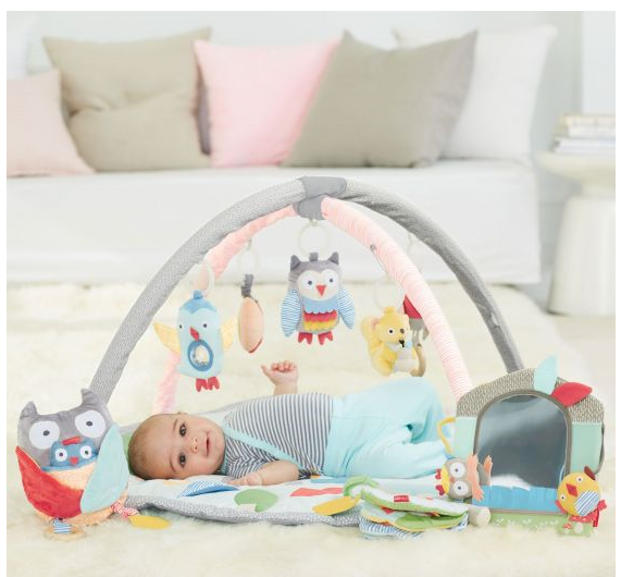 Skip Hop Treetop Friends Activity Gym - Reviews